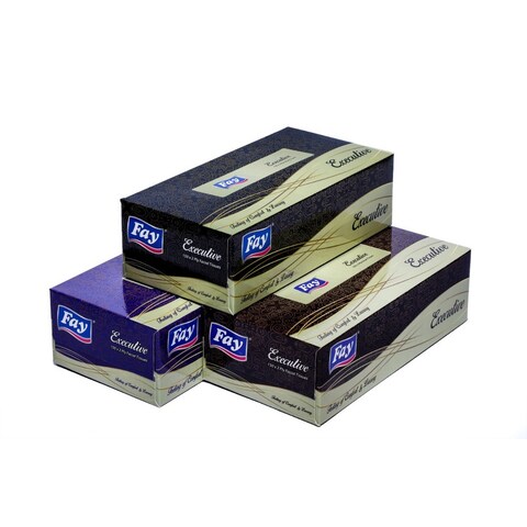 Buy Fay Executive Facial Tissues 2Ply x 150 Sheets Online | Carrefour ...