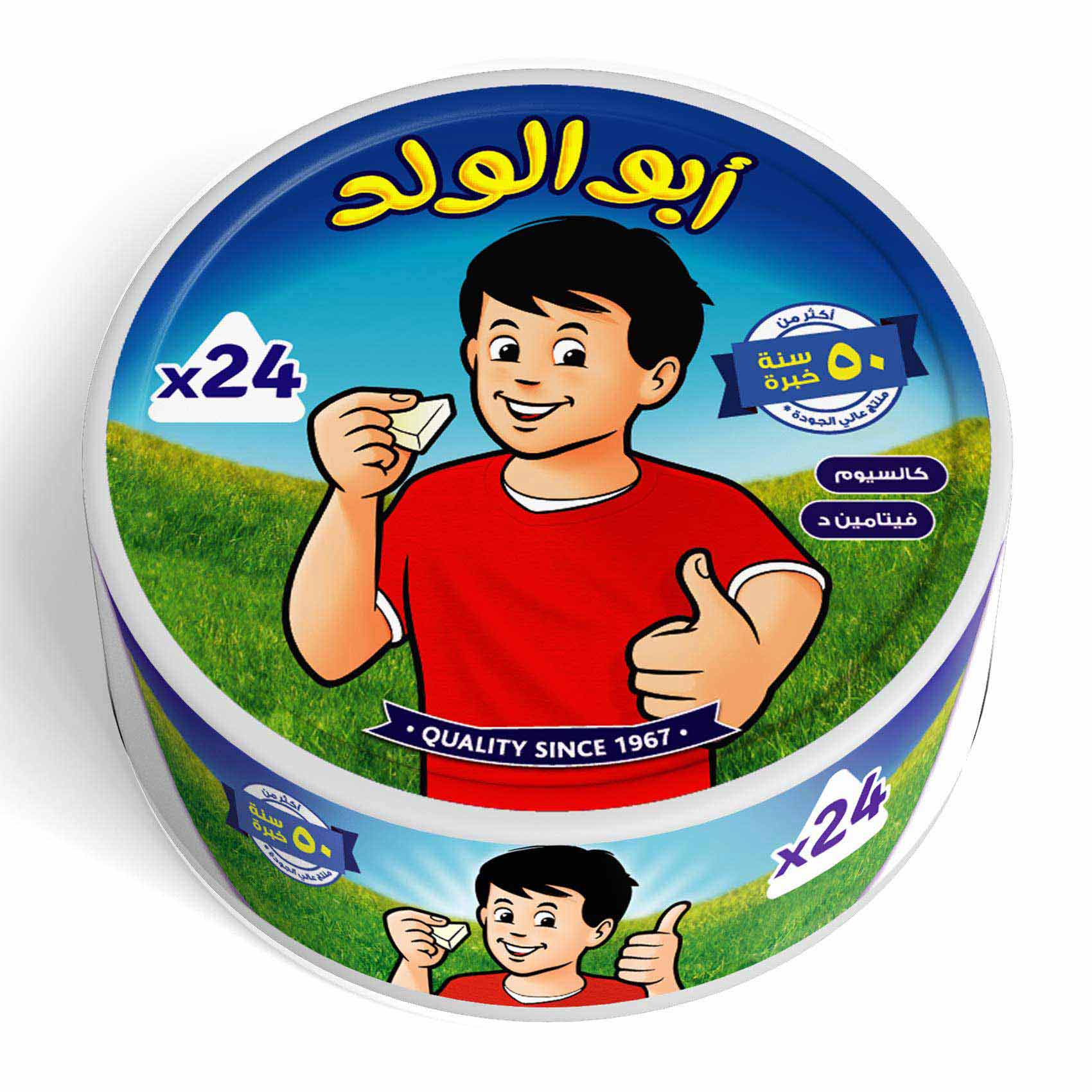 Buy Abu Al Walad Triangle Cheese - 24 Pieces Online | Carrefour Egypt