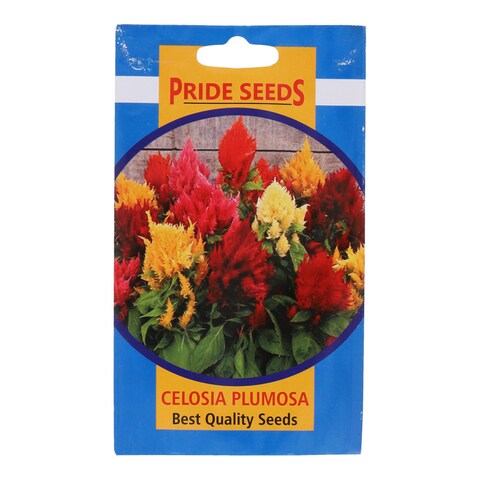 Buy Pride Seeds Celosia Plumosa Online | Carrefour Pakistan