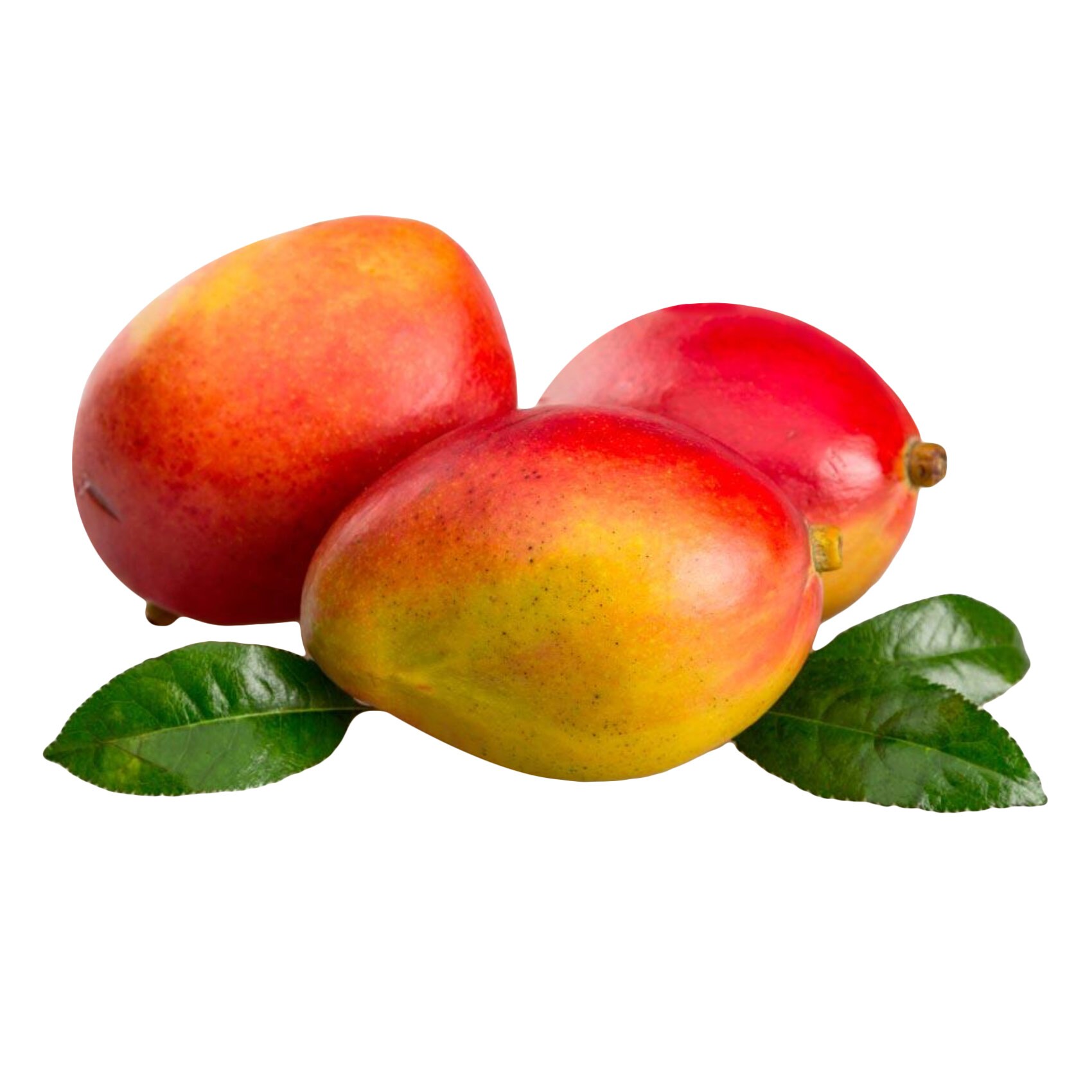 Buy Van Dyke Mango Online | Carrefour Kenya