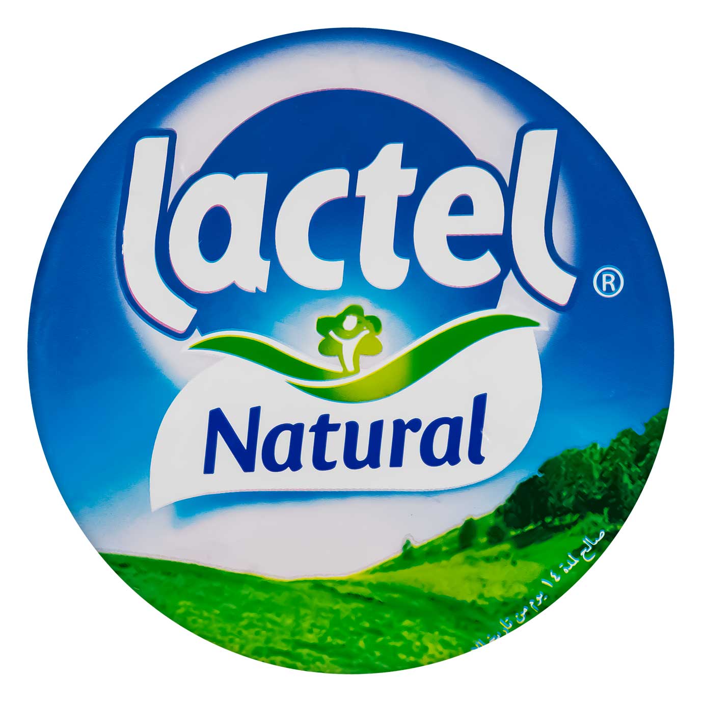 Buy Lactel Natural Yogurt - 170 gram Online | Carrefour Egypt
