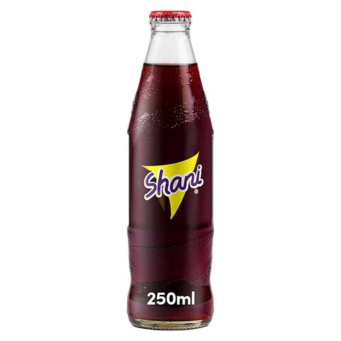 Buy Shani Bottle 250ml x 24 Online | Carrefour KSA