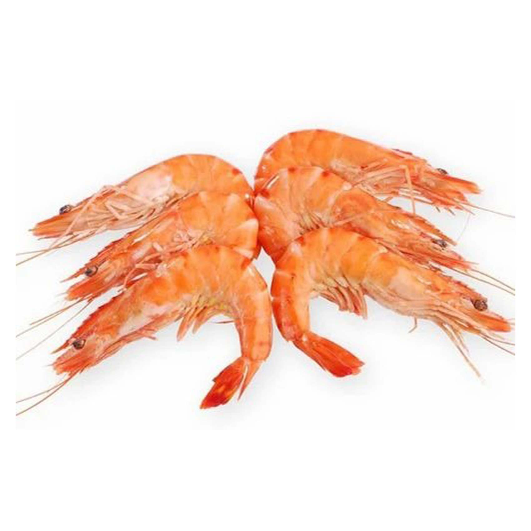 Buy Bosphorus Frozen Emirates Shrimp - 60-80 Online | Carrefour Egypt