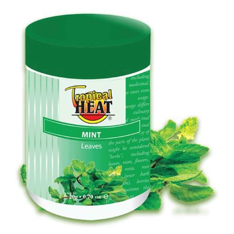 Buy Tropical Heat Spices Mint Leaves 20G Online | Carrefour Kenya